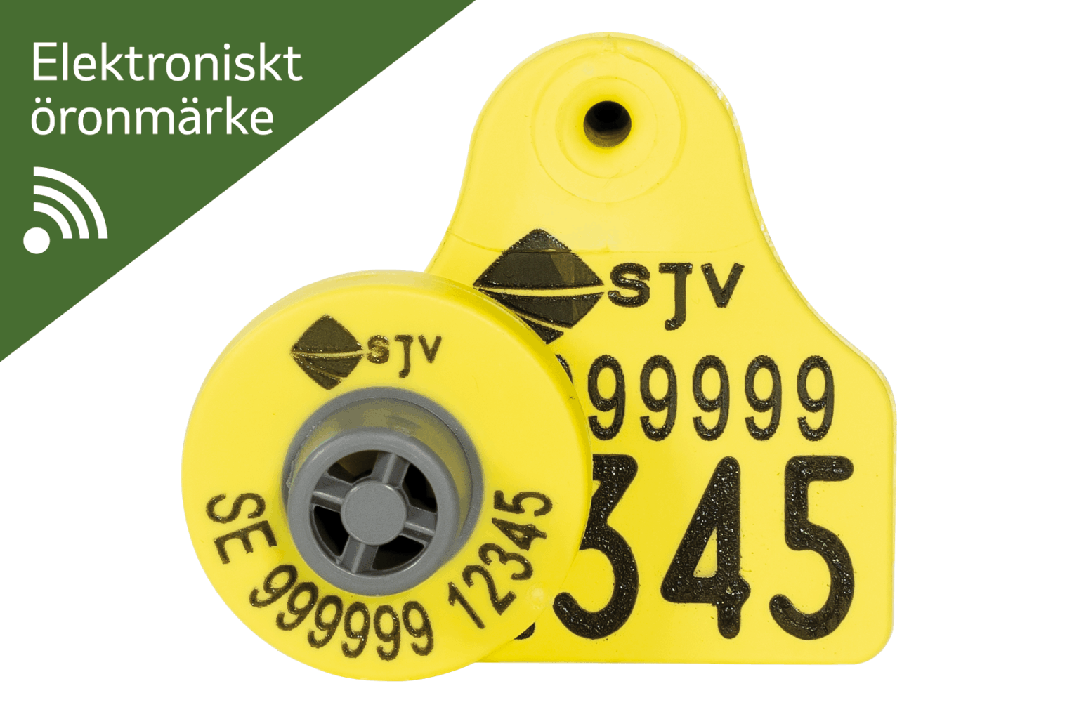 Får - OS ID Stallmästaren