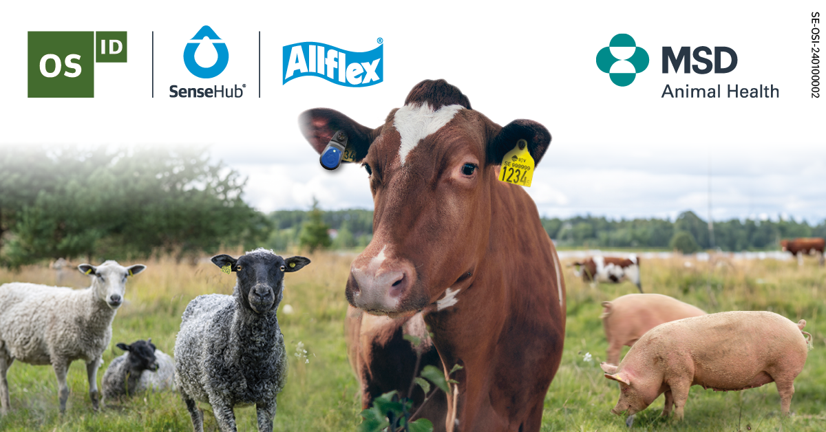 Upptäck framtiden med MSD Animal Health! - OS ID Stallmästaren